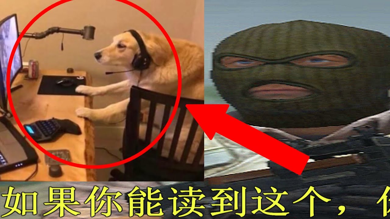 Smartest gamers alive - YouTube