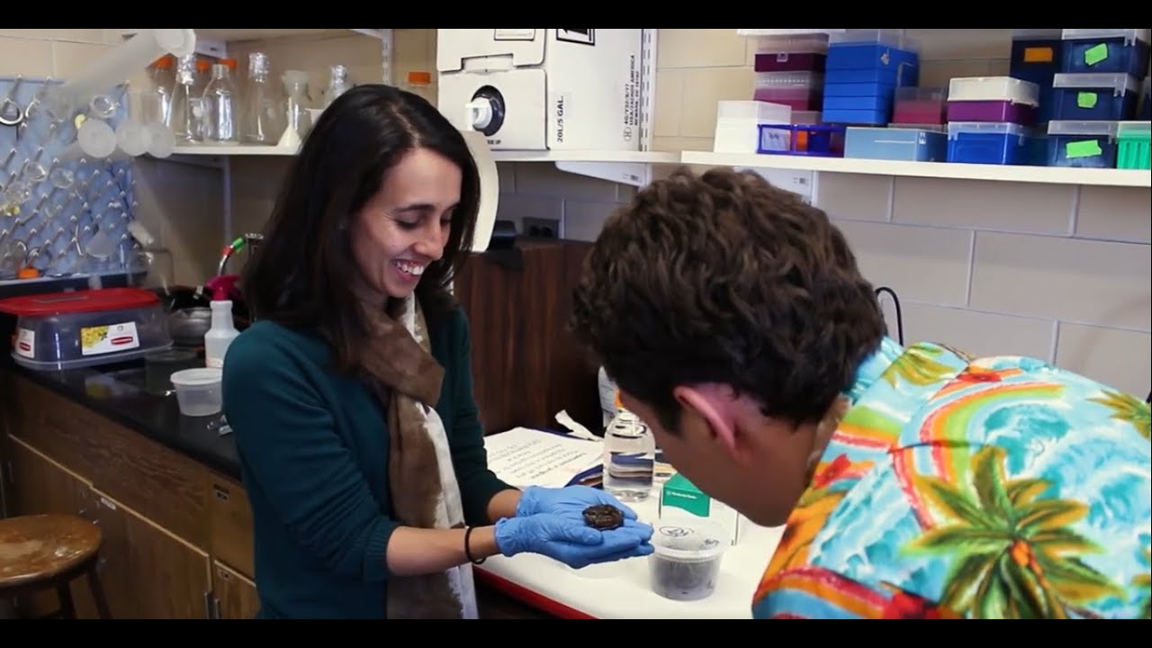 Science Around Cincy: Clara do Amaral - Frog Cryobiologist - YouTube
