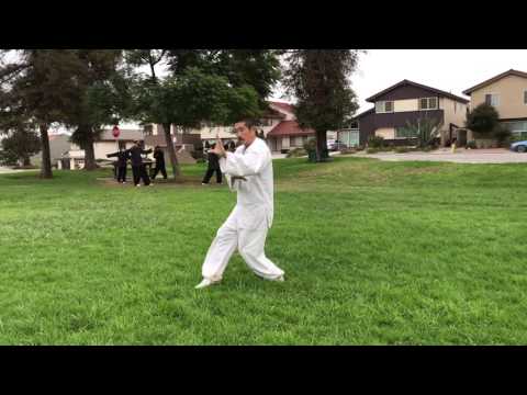 Bagua: Returning Body Palm