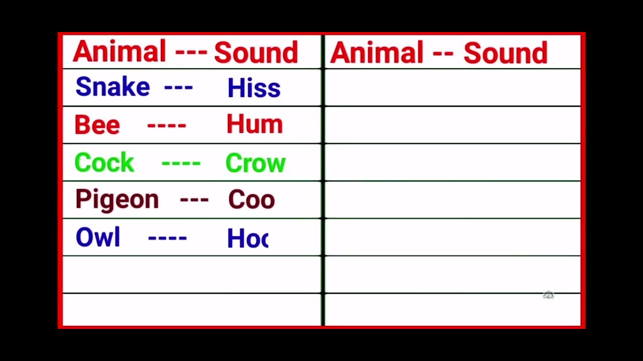 Animal sounds cries of animals EP19 Owl Hoot - YouTube