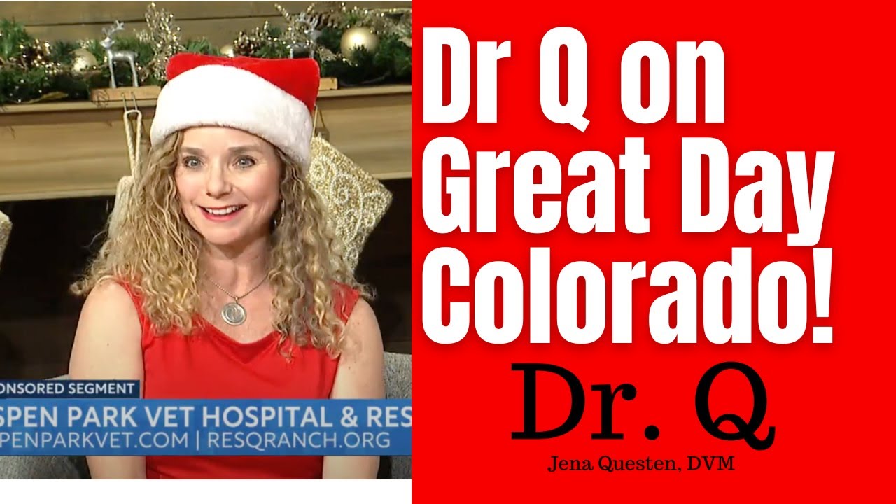 ResqRanch and Dr Q visit Great Day Colorado Channel 2! - YouTube