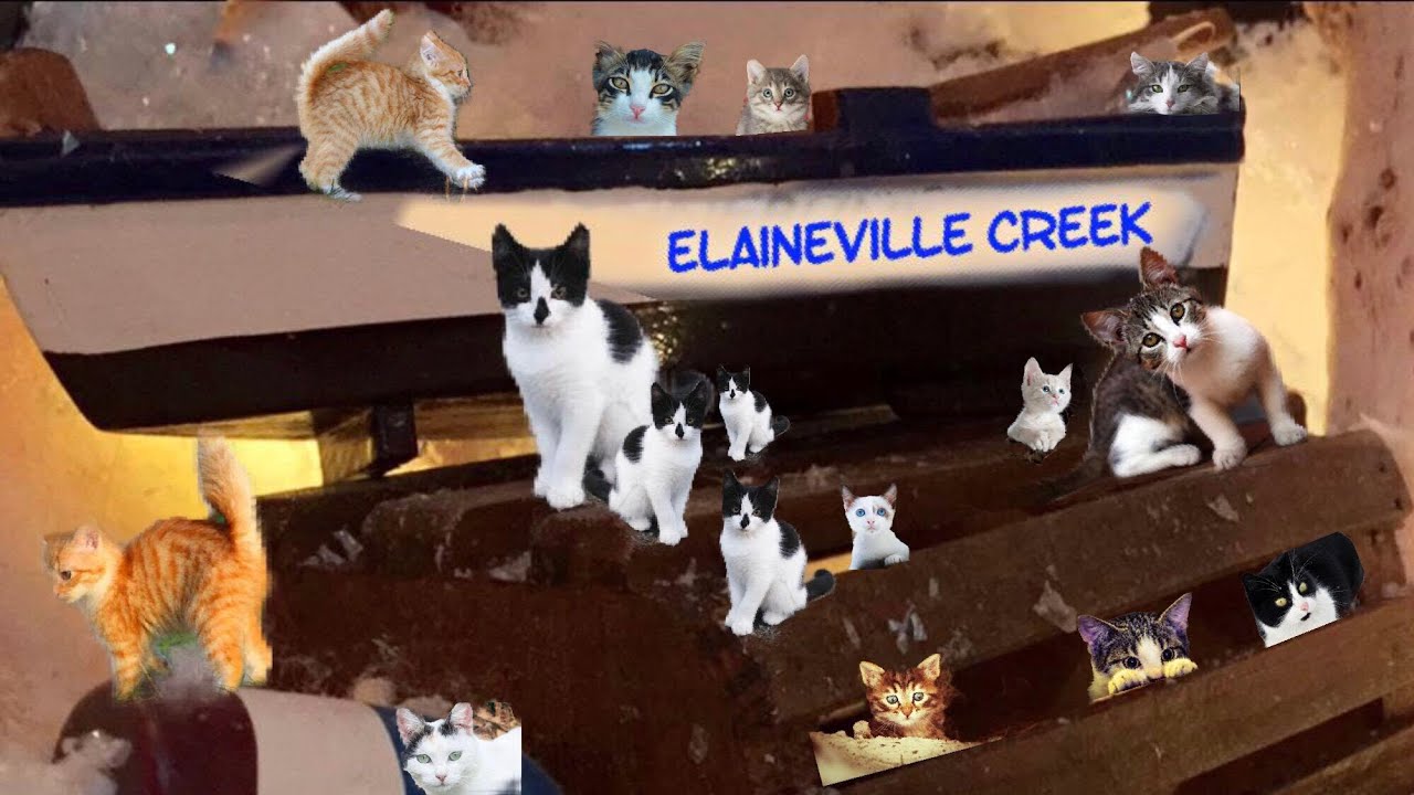 Elaineville Creek Xmas Village#14:BusTour Creek Purlieu:4th Stop ...