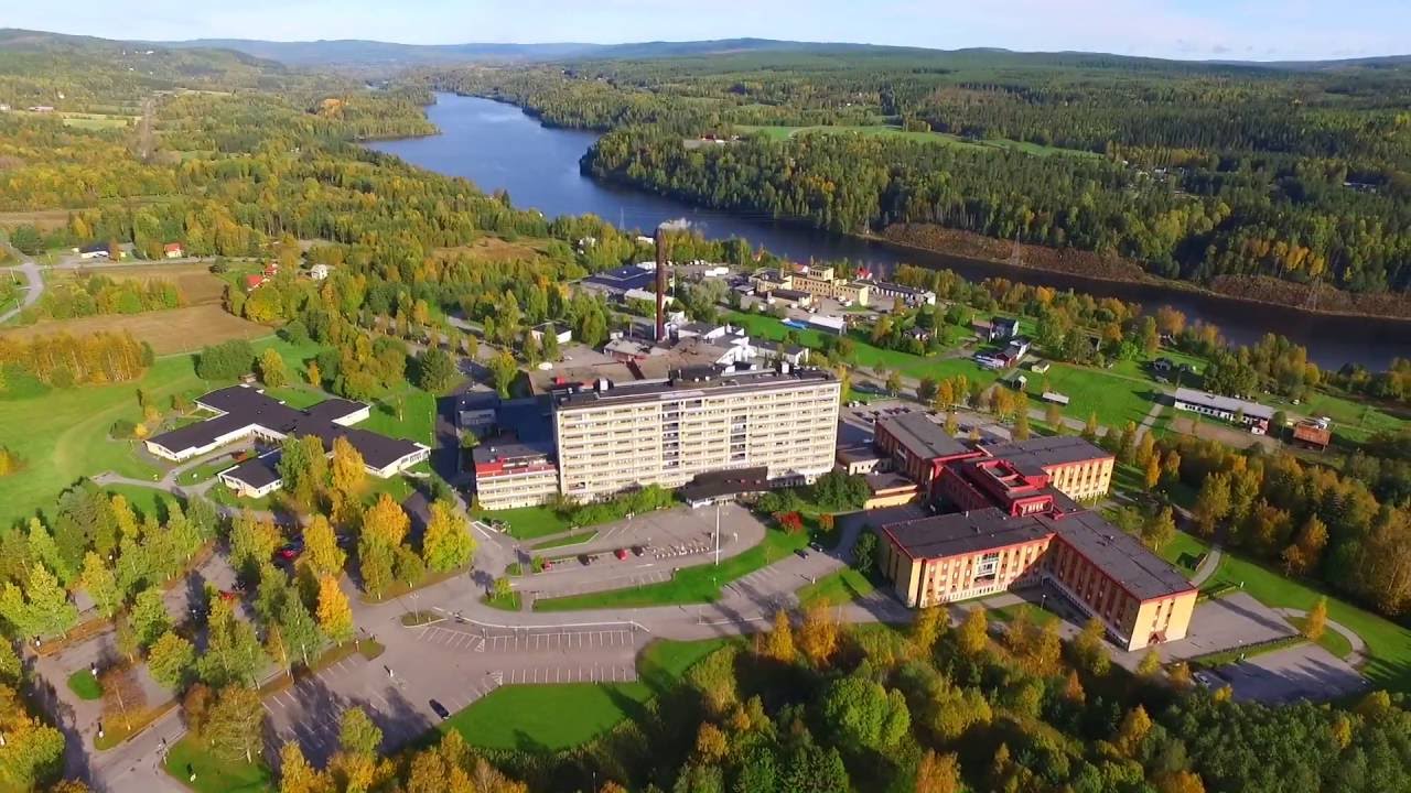 Stolt och rakryggad står hon kvar- Sollefteå Sjukhus! - YouTube