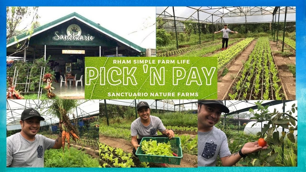 PICK 'N PAY EXPERIENCE by RHAM SIMPLE FARM LIFE - YouTube