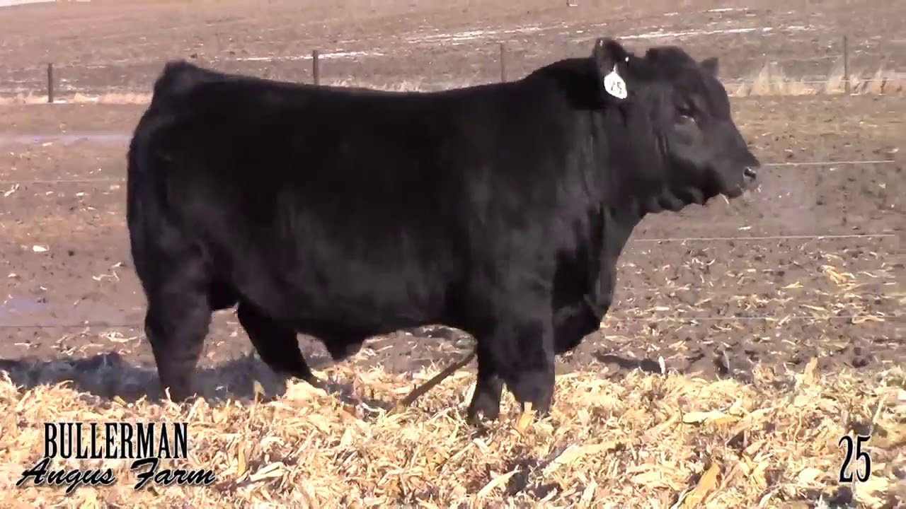 Bullerman Unlimited - YouTube