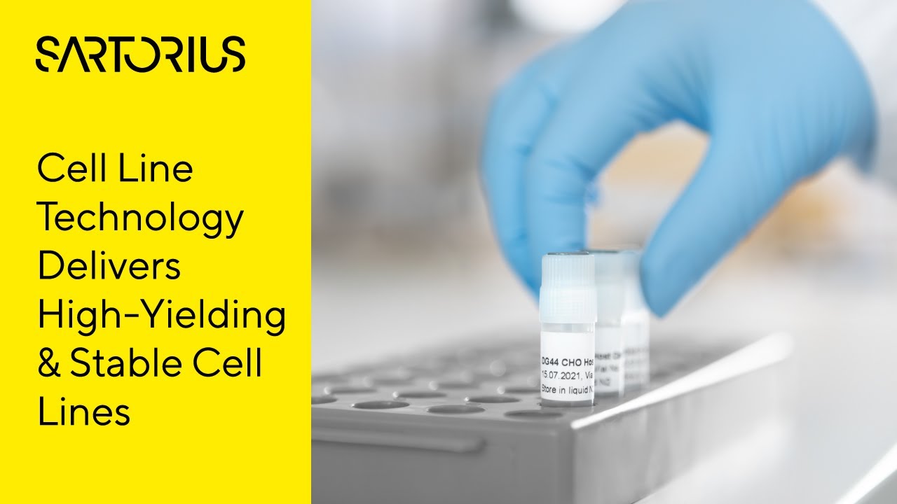 Rapidly Generate High-Yielding, Stable Cell Lines with CLD Services ...