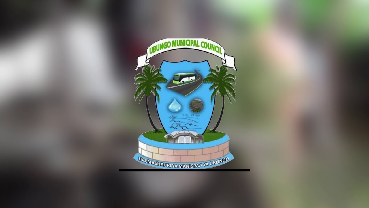 MANISPAA YA UBUNGO IMEWAWEZESHA WALEMAVU KUPATA MKOPO USIOKUA NA RIBA ...