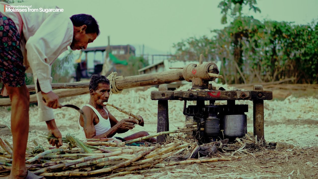 Molasses from Sugarcane: Micro Documentary - YouTube