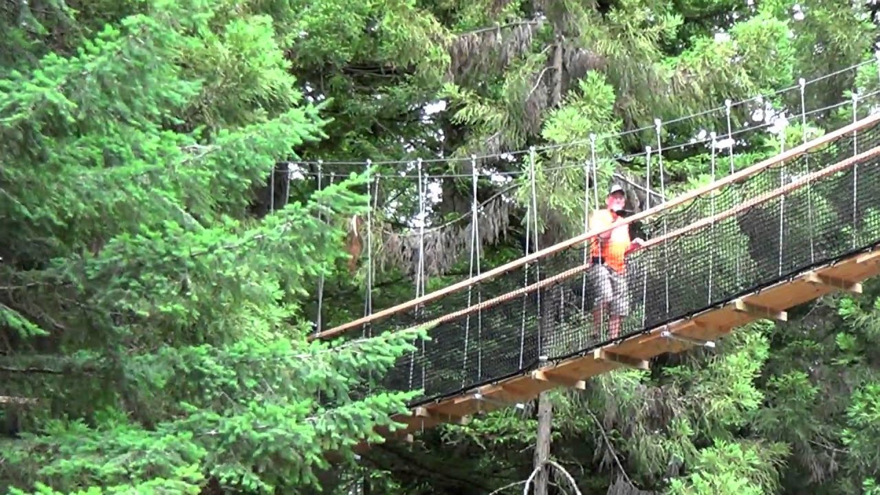 Redwoods Treewalk Rotorua New Zealand - YouTube