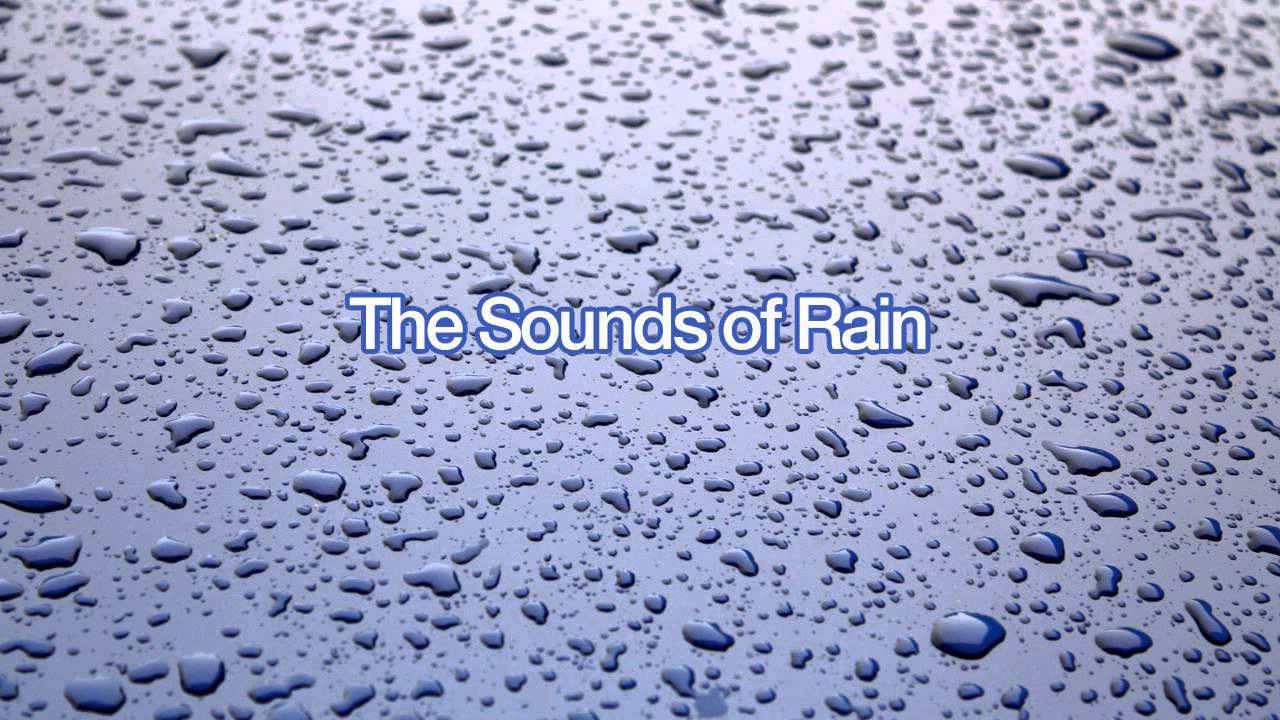 The Sounds of Windy Rain for Sleep (60 Minutes) - YouTube