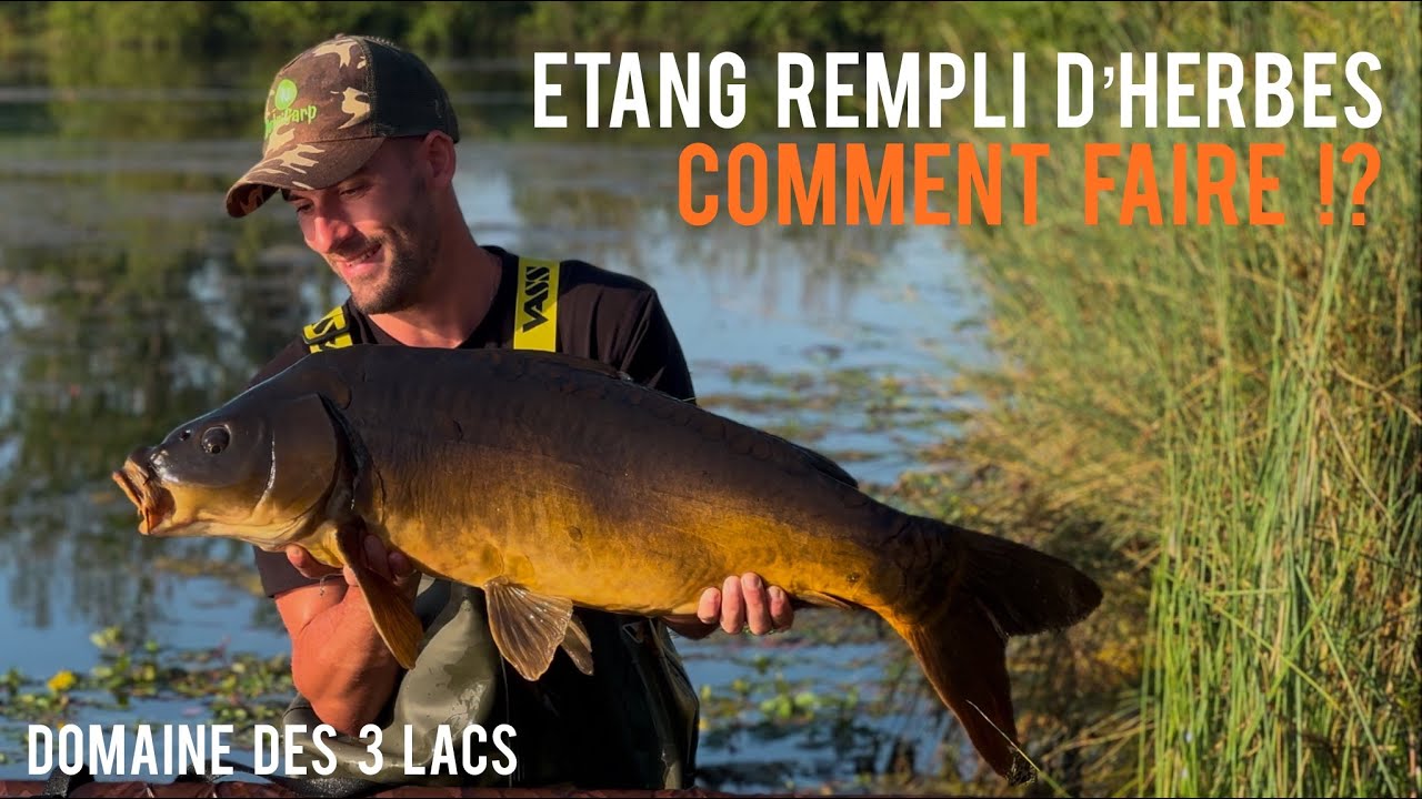 Pêche de la carpe face aux herbes au domaine des 3 lacs 4K - YouTube