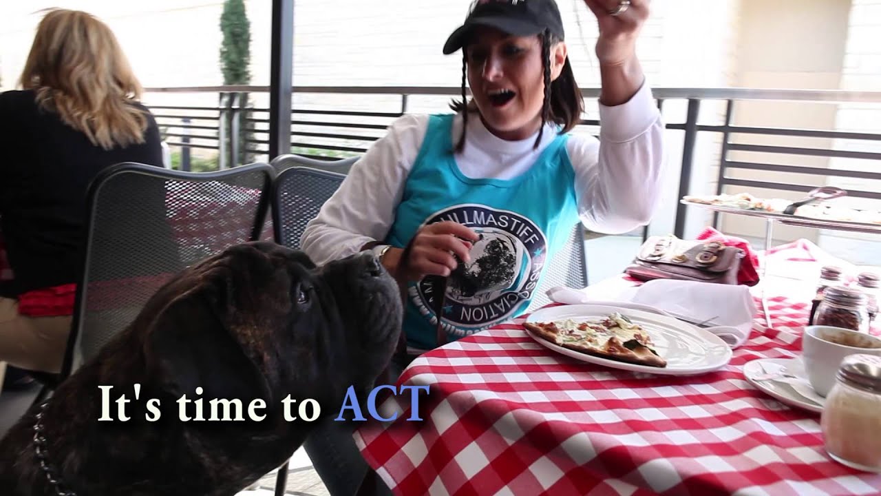 ACT ~ Phoenix - YouTube