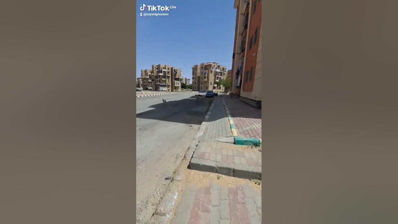 احلا واجمل صحبه 🤩🤩😇😇😇😇😇😇😇😇😇😇😇😇😇 Youtube