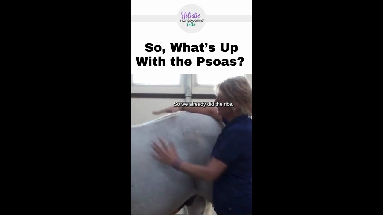 Help Roach Back or Hunter's Bump | Equine Bodywork | Holistic ...