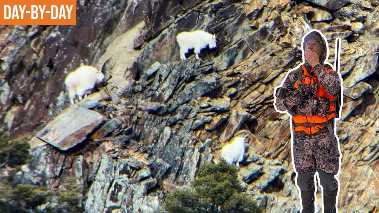 Stalking Goats in The CLIFFS | Late Season Mountain Goat DAY-BY-DAY (ep ...