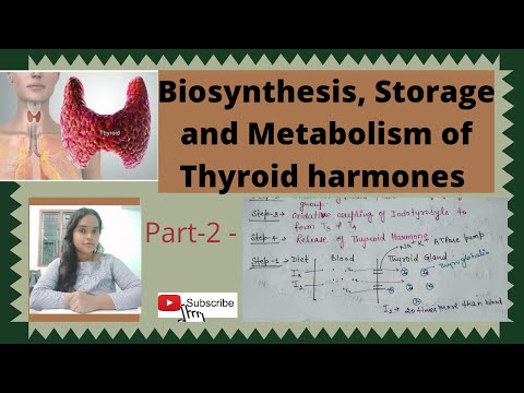 Biosynthesis Storage and Metabolism of Thyroid Gland Harmones/T3,T4