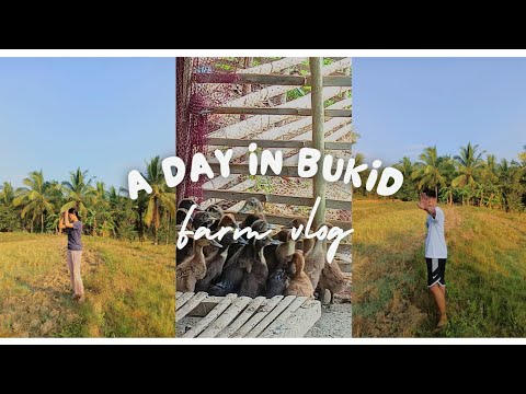 Bukid is Life - YouTube