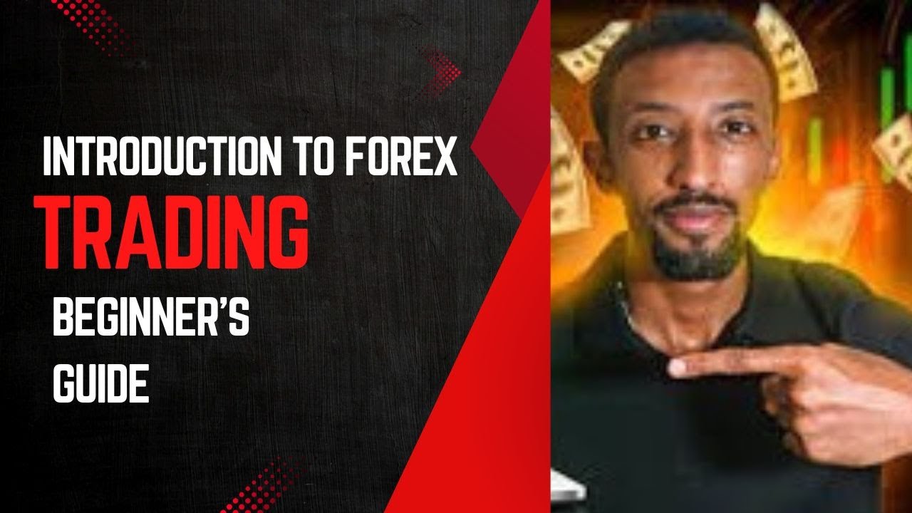 Introduction to Forex trading Beginner's guide in Amharic part 2 #forex #makemoneyonline #crypto ...