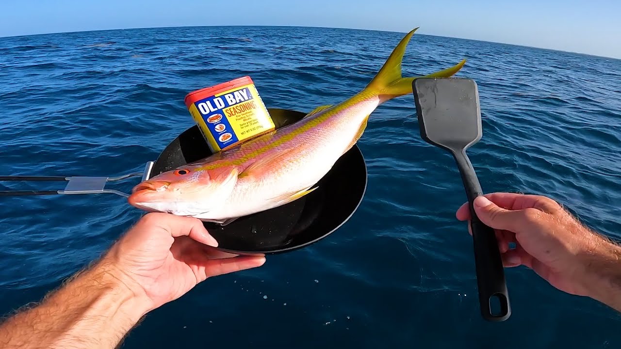 Catch and Cook At Sea - Ocean Reef Bottom Fishing - YouTube