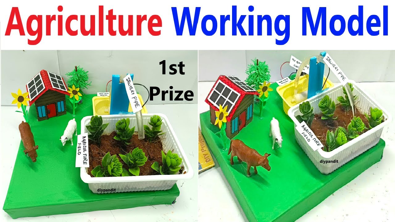 agriculture working model for science project exhibition - diy ...