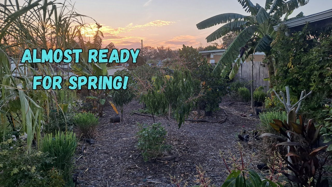 February Tropical Suburban Food Forest & Garden Tour - YouTube