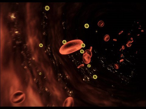 Parasite Infiltrates Bloodstream - YouTube