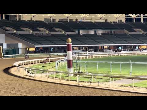 Counting Stars final perp work for the Kentucky Oaks 4/23
