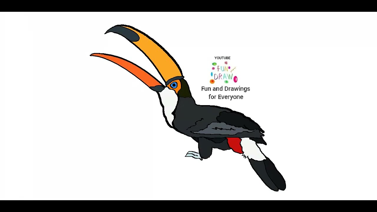 Wie zeichnet man einen Tukan - YouTube