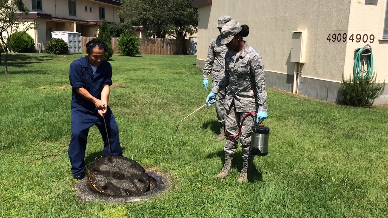 Killing Cockroaches - YouTube