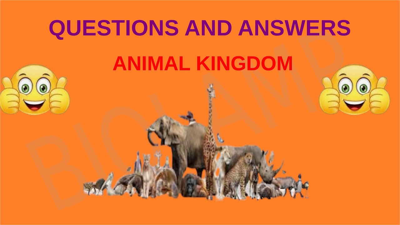 PLUS ONE ZOOLOGY-CHAPTER 2-ANIMAL KINGDOM -PART 2 QUESTIONS AND ANSWERS ...