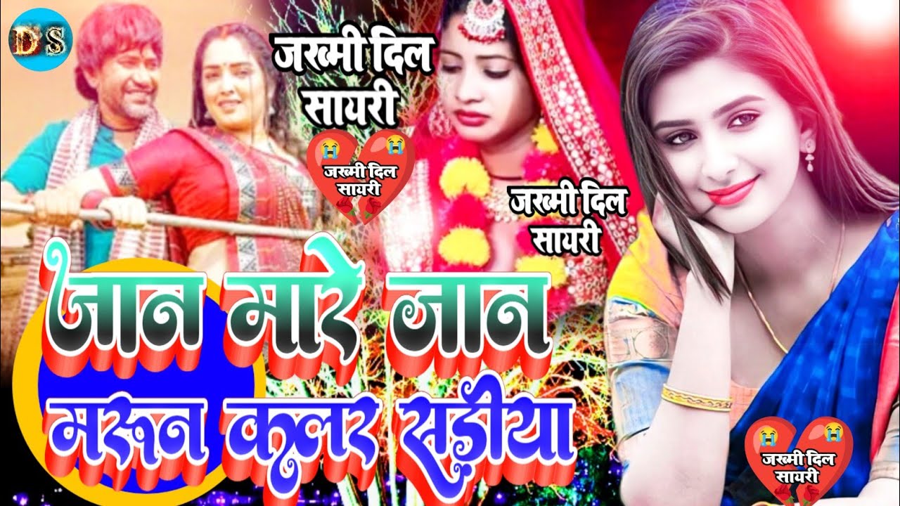 Jan🤷‍♂️mare jan🌿marun kalr💔sariya मैरून कलर साड़ियां 2024 का न्यू शायरी ...