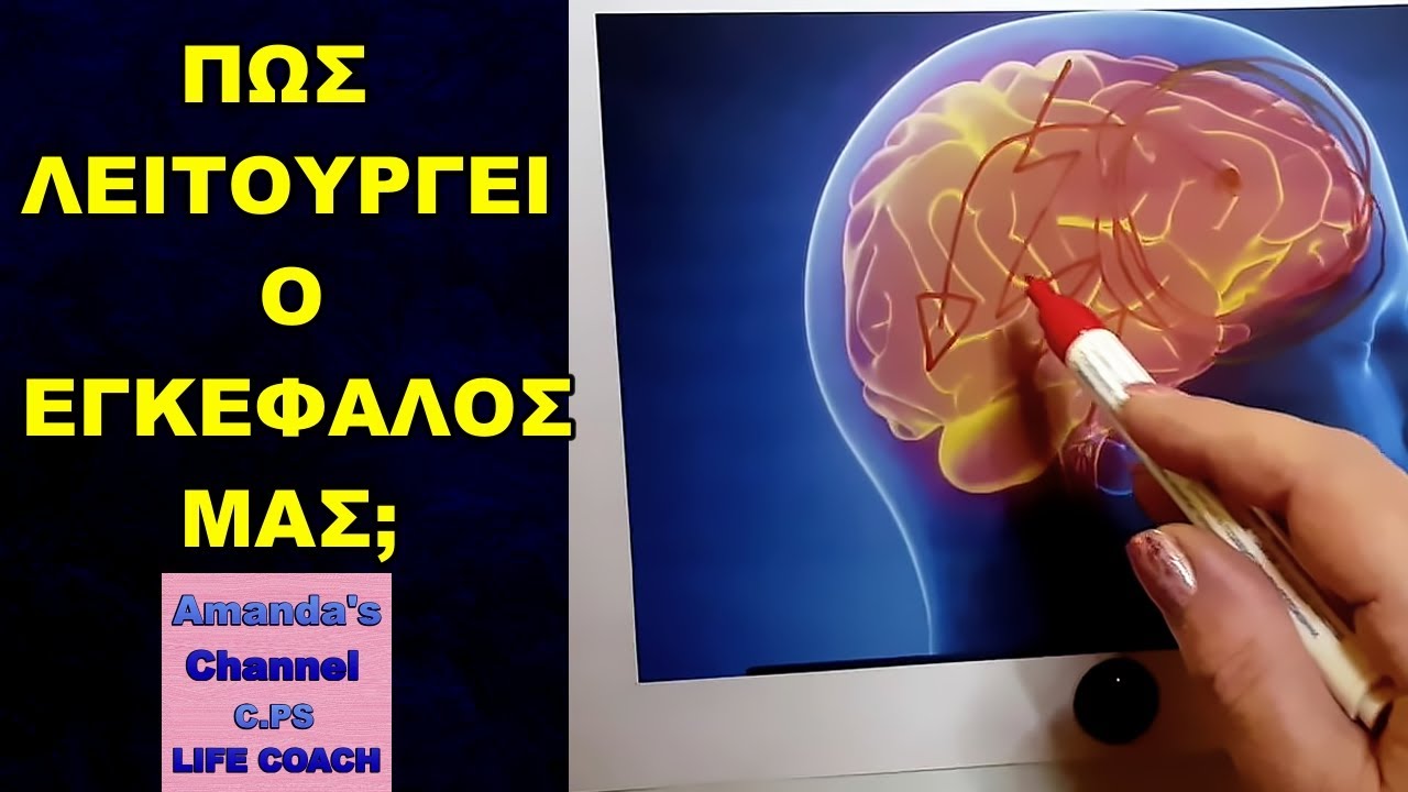 ΚΑΤΑΝΟΗΣΤΕ ΤΙΣ ΛΕΙΤΟΥΡΓΙΕΣ ΤΟΥ ΕΓΚΕΦΑΛΟΥ #ενέργεια #ενεργεια - YouTube
