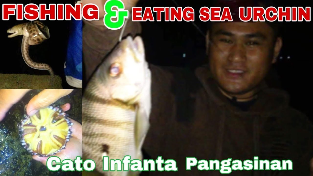 FISHING & EATING SEA URCHIN 🎣 | PART II | DODONG's IDEA - YouTube