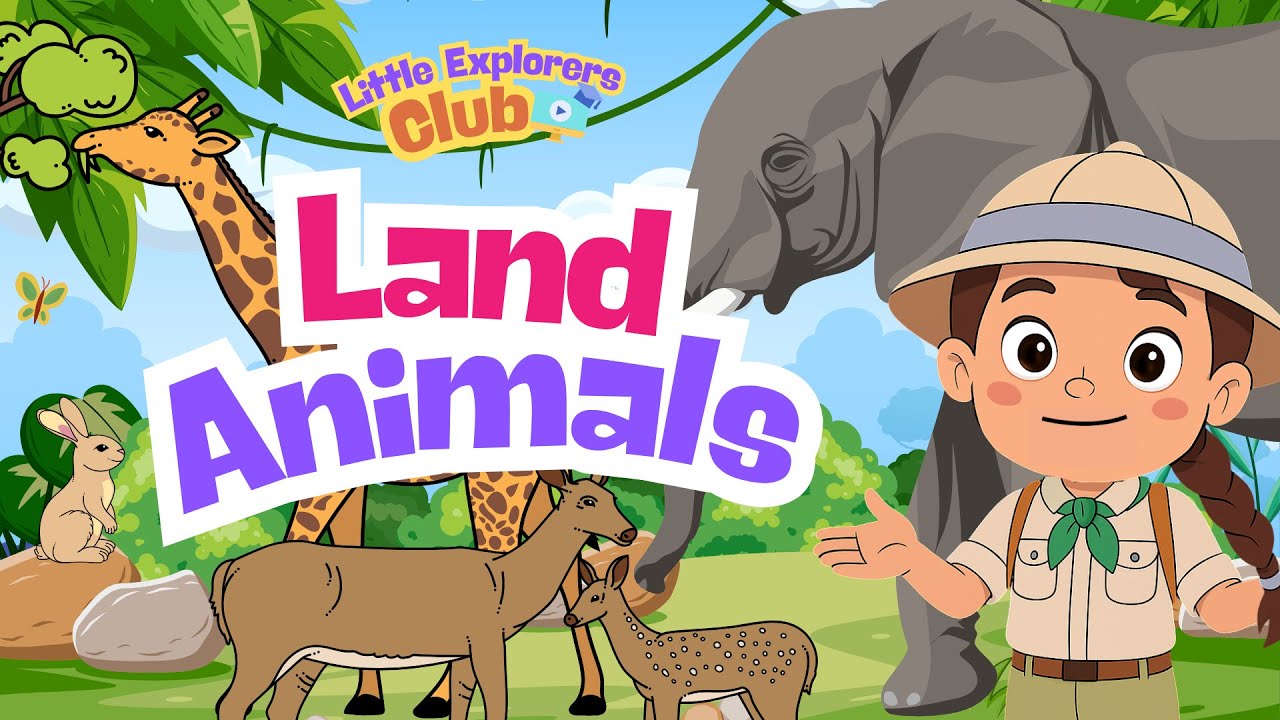 25 Amazing Land Animals for Kids 🐘🦁 | Fun Animal Facts and Sounds ...