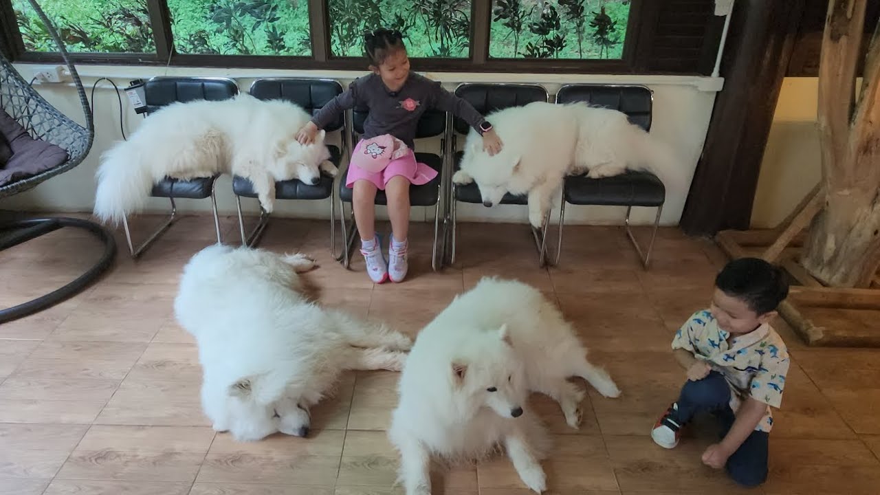 One day trip in Meesuk Farm - YouTube