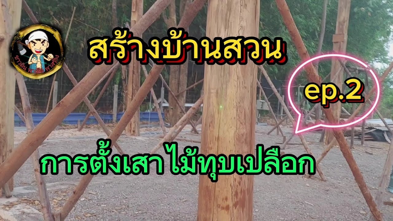 การตั้งเสาไม้ setting up wooden poles - YouTube