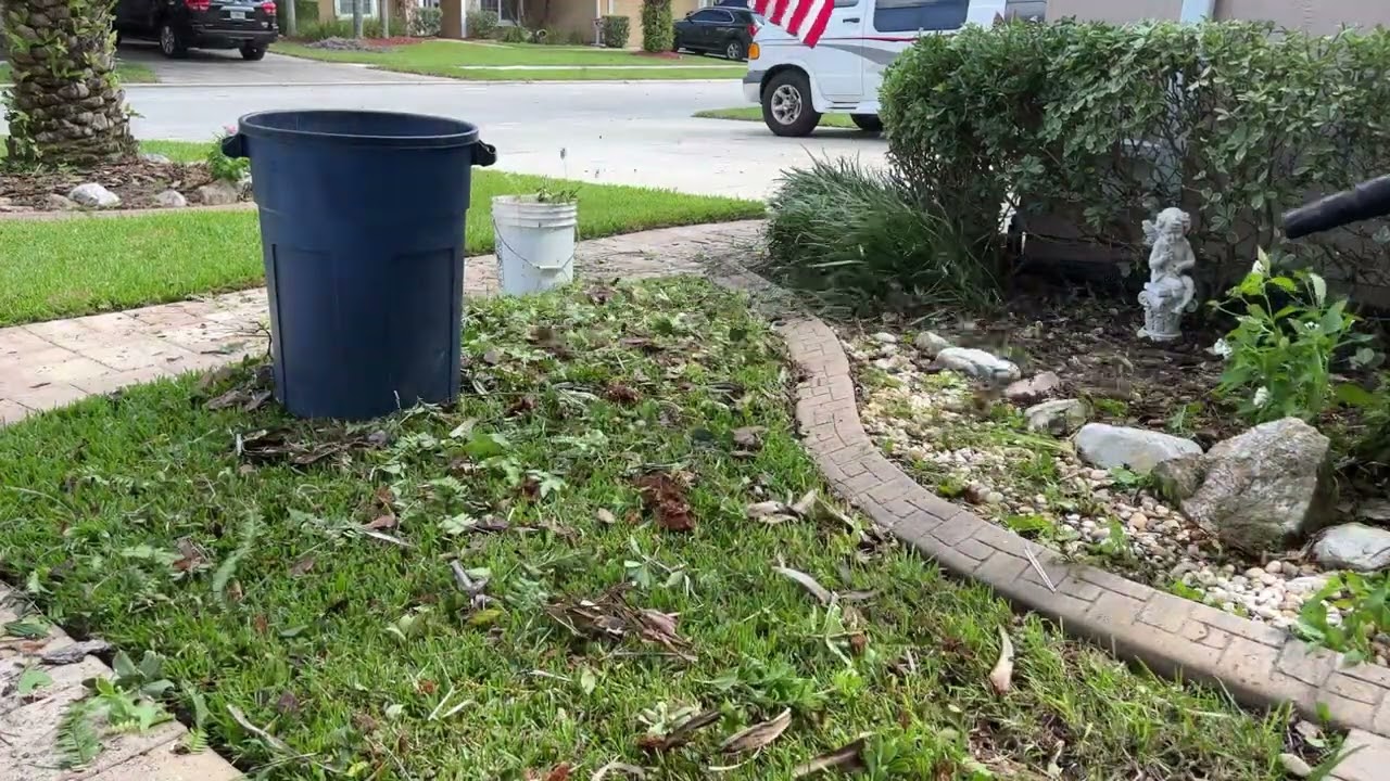 Palm trees hair cut- finished - YouTube