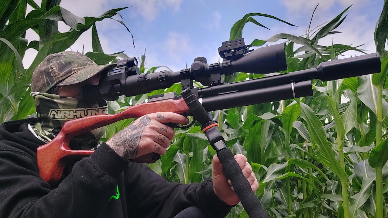squirrel shoot with the custom PP750 #hunting #pestcontrol # ...
