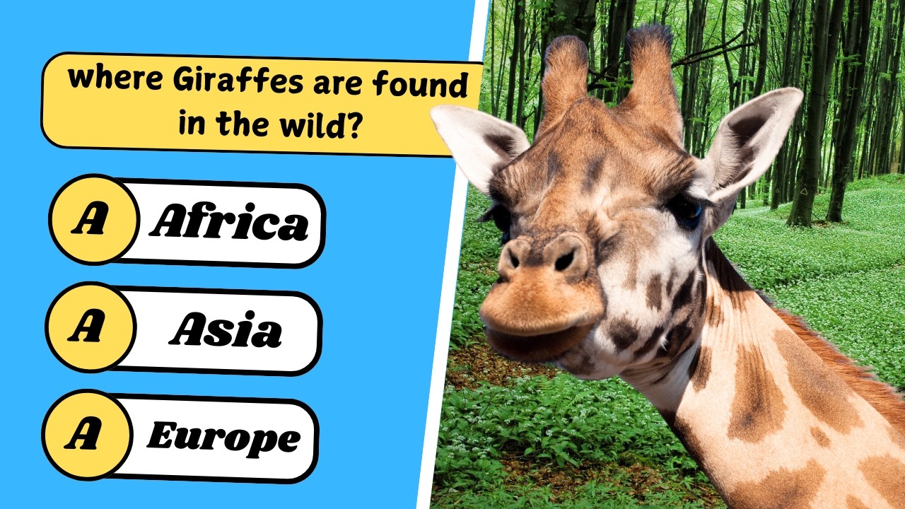 Test Your Animal Knowledge: 40 Animals Knowledge Trivia Quiz - YouTube