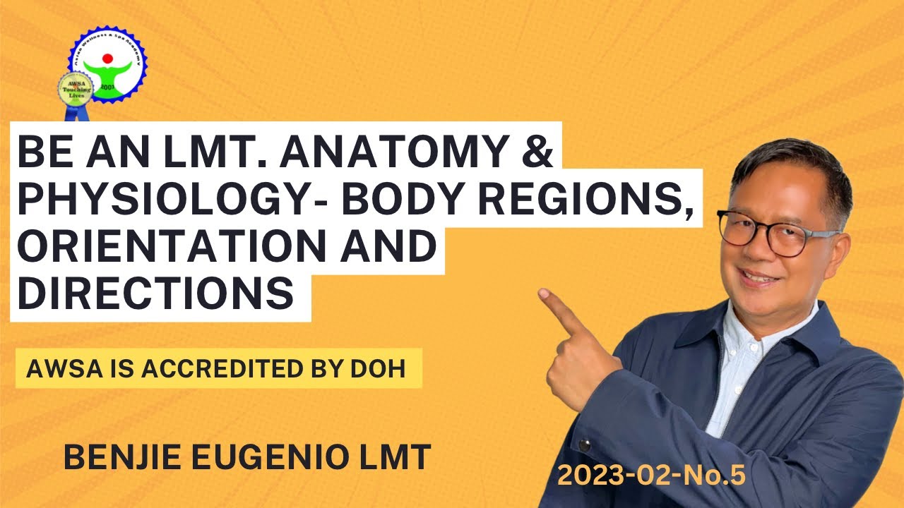 Be an LMT. Anatomy and Physiology. Body regions. orientation, directions and positions - YouTube
