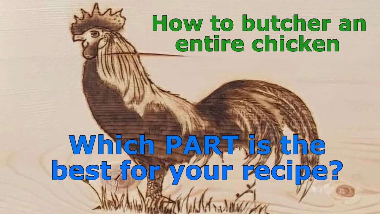 How To Butcher An Entire Chicken Pyrography - YouTube