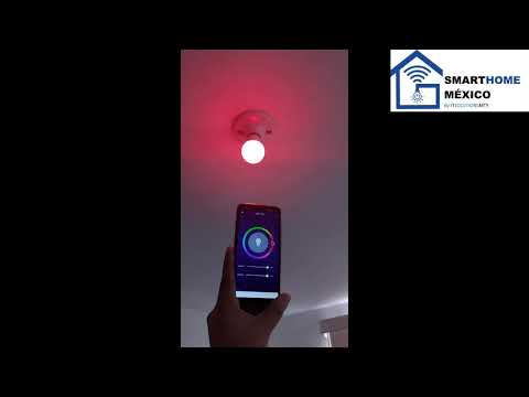 SHM DEMO - YouTube