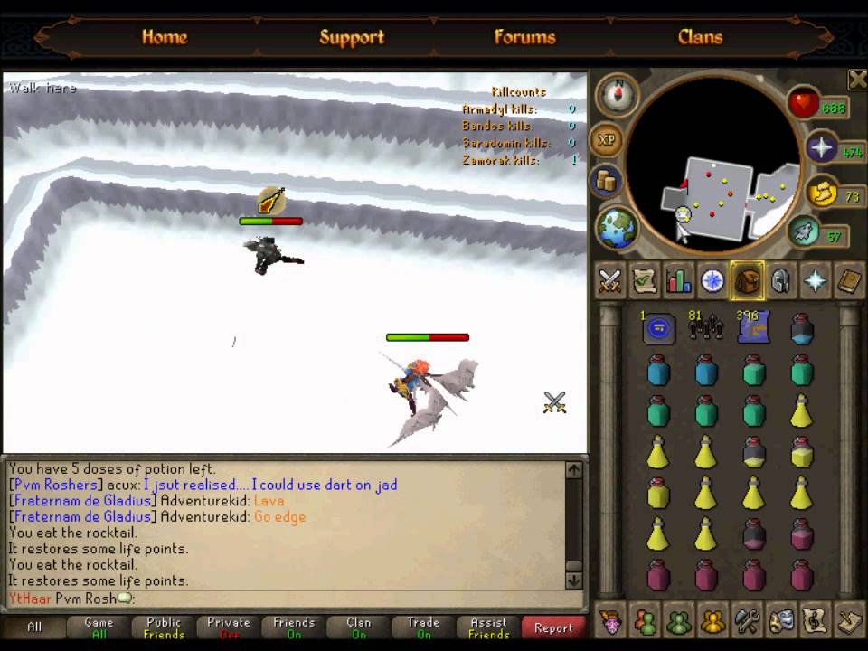 Saradomin Boss duo - YouTube
