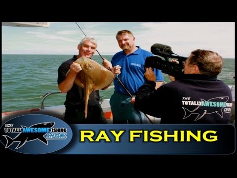 How to catch Rays - Totally Awesome Fishing Show - YouTube