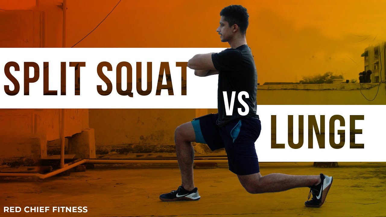 Difference Between Split Squat And Lunge | Which Lunge Variation Should ...