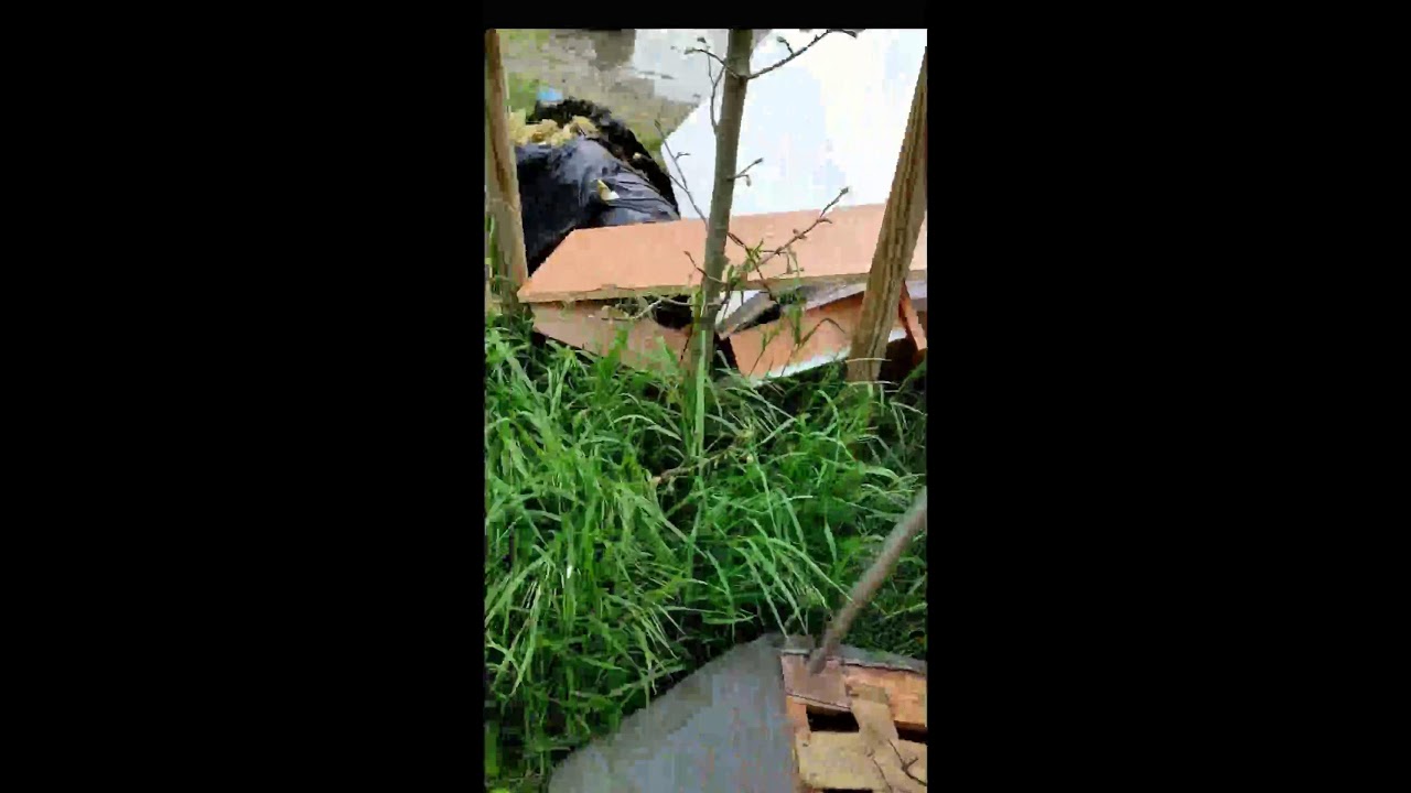 Dumpster Diving Compilation. - YouTube