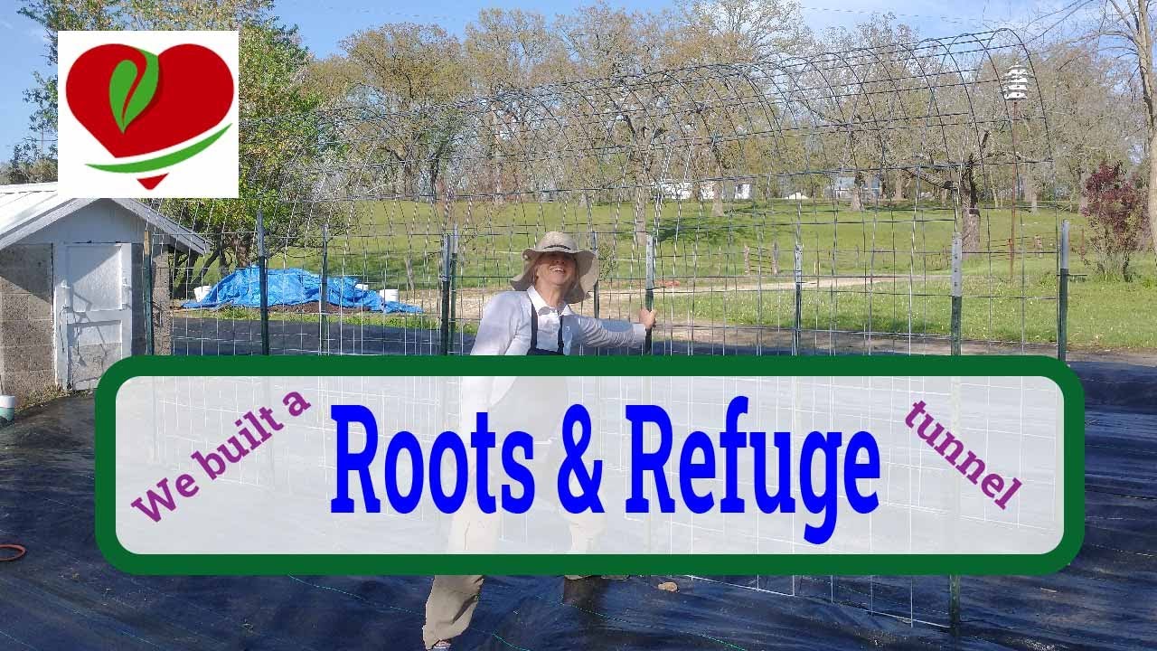 We Built a Roots and Refuge Tunnel in our Garden - YouTube