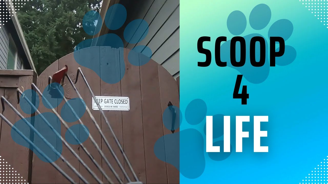 Back at My Favorite Client’s Yard – Rainy Monday Poop Scoop! - YouTube