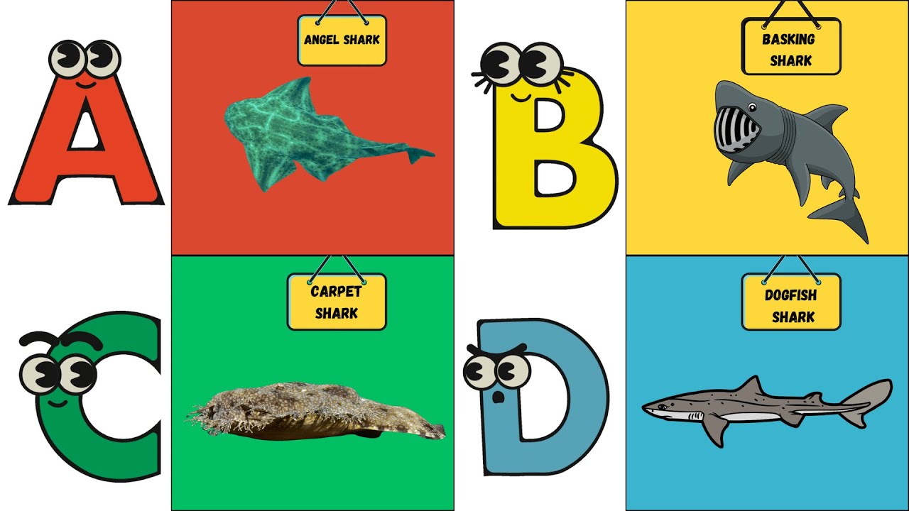 ABC Shark Song 🦈 | Learn All About Sharks Alphabetically | Fun Ocean ...