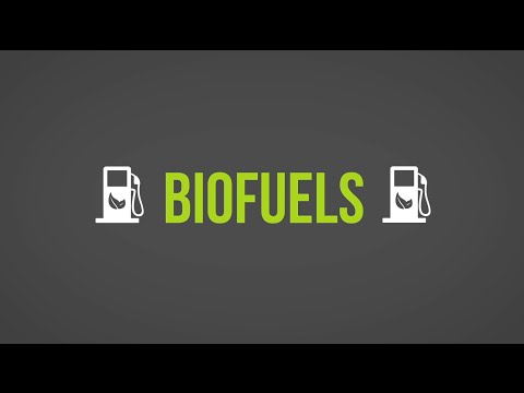 How Does Biofuels Energy Work Definition Environmental Science